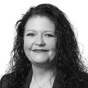 Mergers & Acquisitions | Nordic Consulting Partners, Inc.