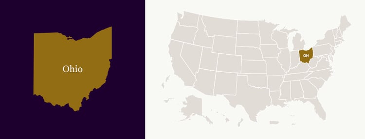 Nordic ERP Services Case Studies